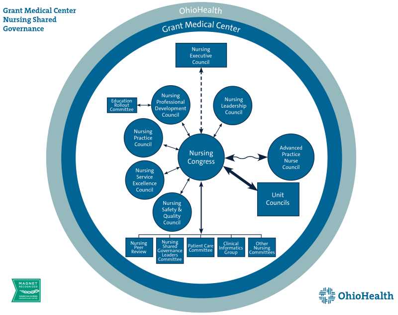 Team Nursing Model Diagram